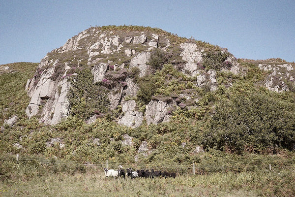 Hersteller - Wollmühle, Innere Hebriden – S.E.H Kelly